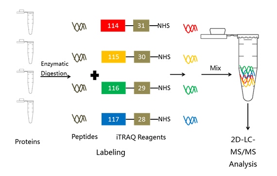 Look Out for iTRAQ Proteomics Analysis by Creative Proteomics ... Look Out for iTRAQ Proteomics Analysis by Creative Proteomics ...